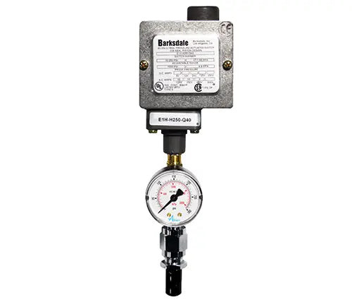 Pressure Switch Gauge Assembly for Instrument Air – Clinical Delivery ...